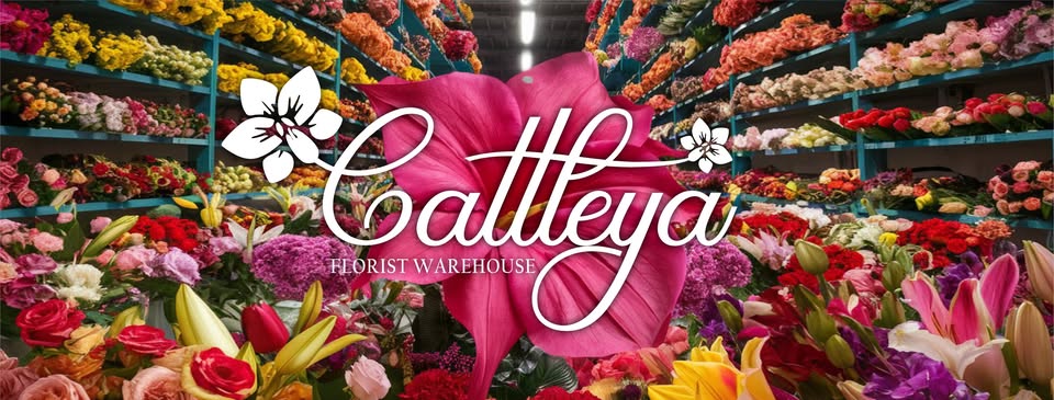 Magazin - Flower Packs